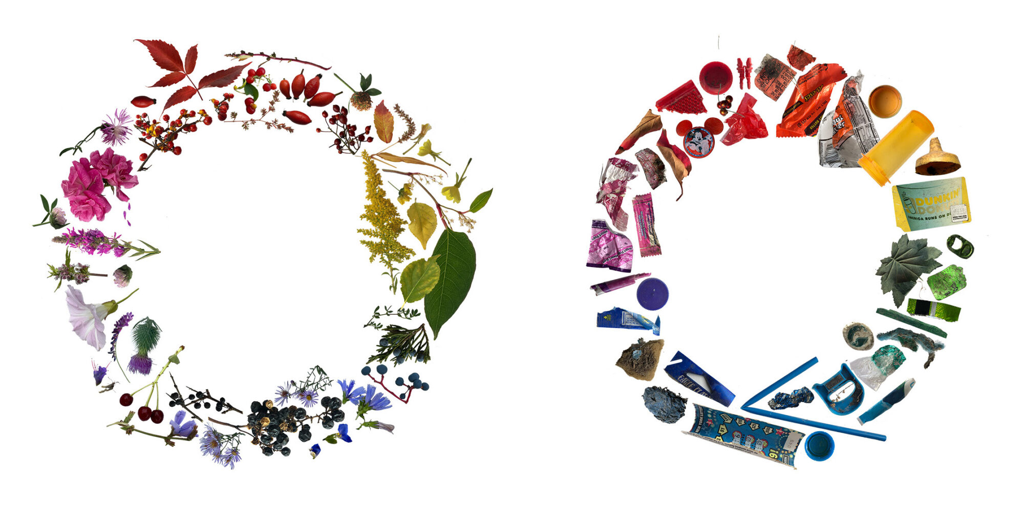 Comparative Color Spectrums – Ellie Irons